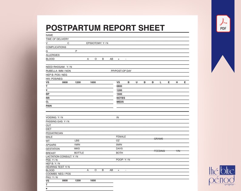 Printable Postpartum Report Sheet - Etsy