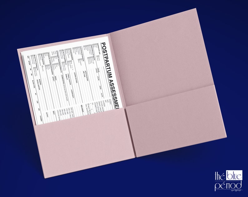 Postpartum Assessment Guide Template for Nurses (digital PDF) - Etsy