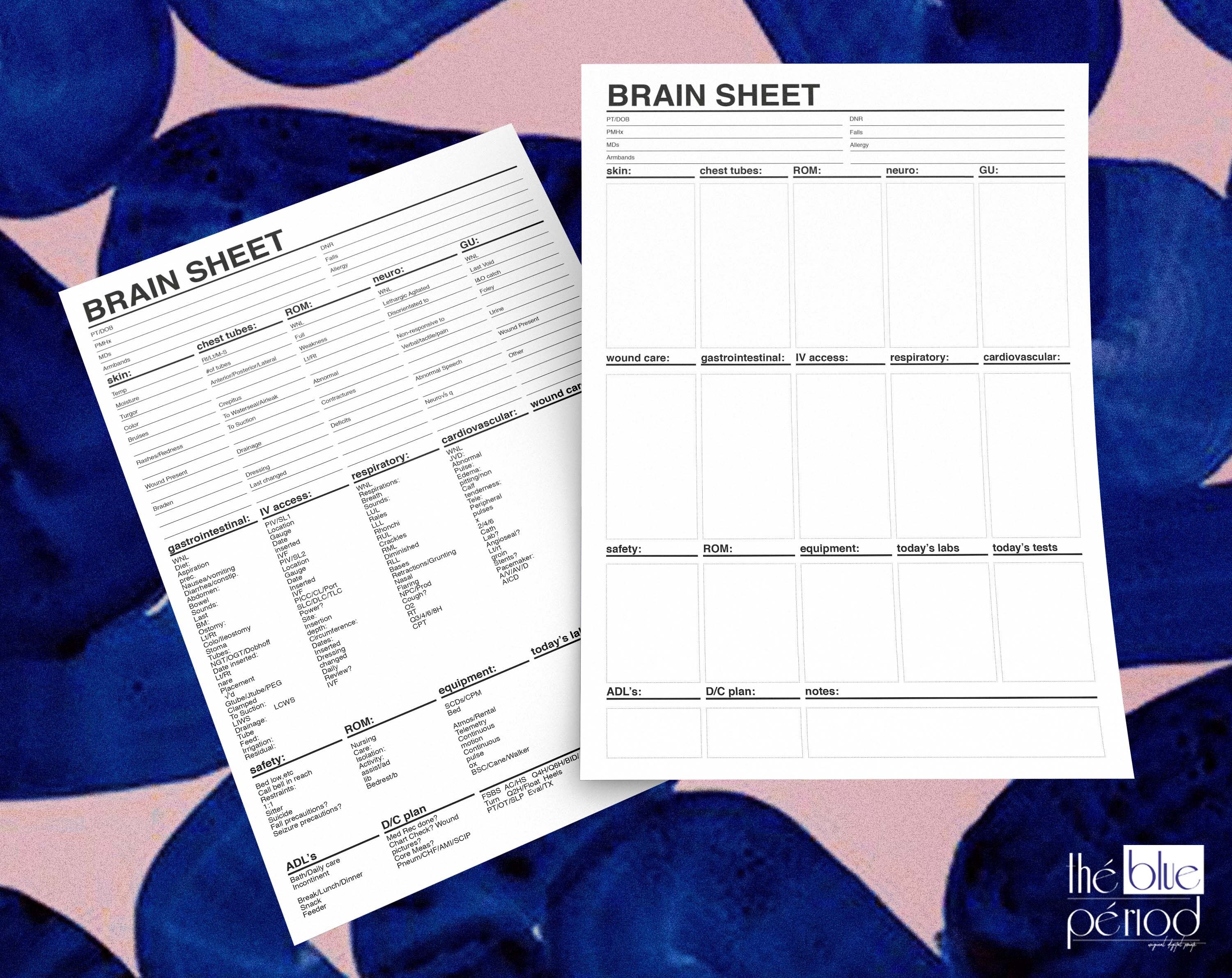 3 in 1 Nurse Brain Reports - Etsy