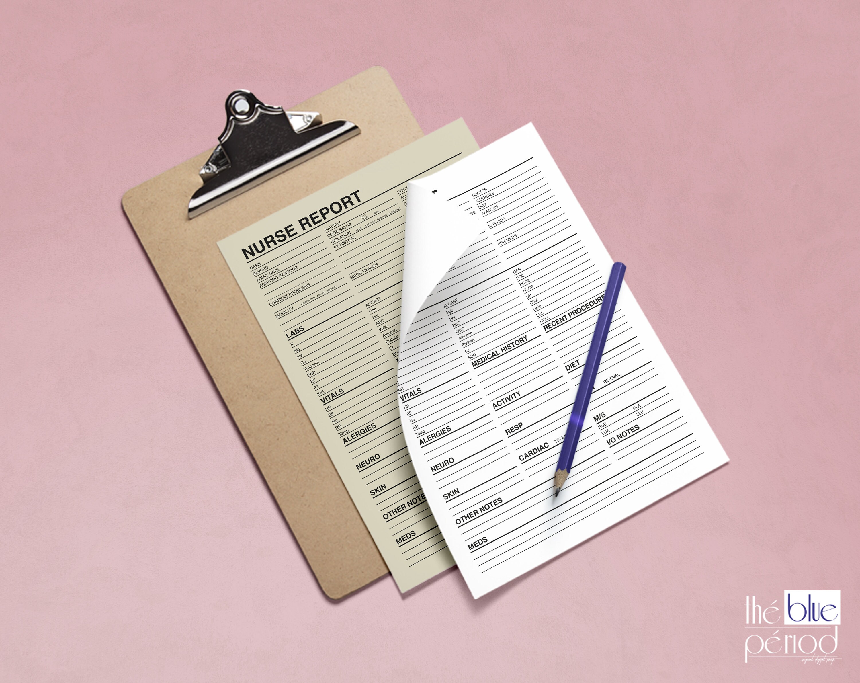 One Patient Full Nurse Report Sheet Template - Etsy