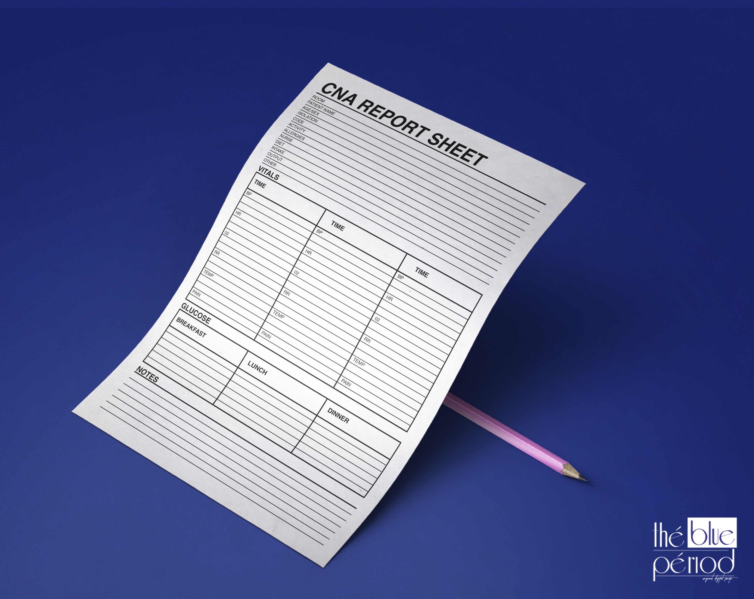 Printable CNA Report Sheet - Etsy