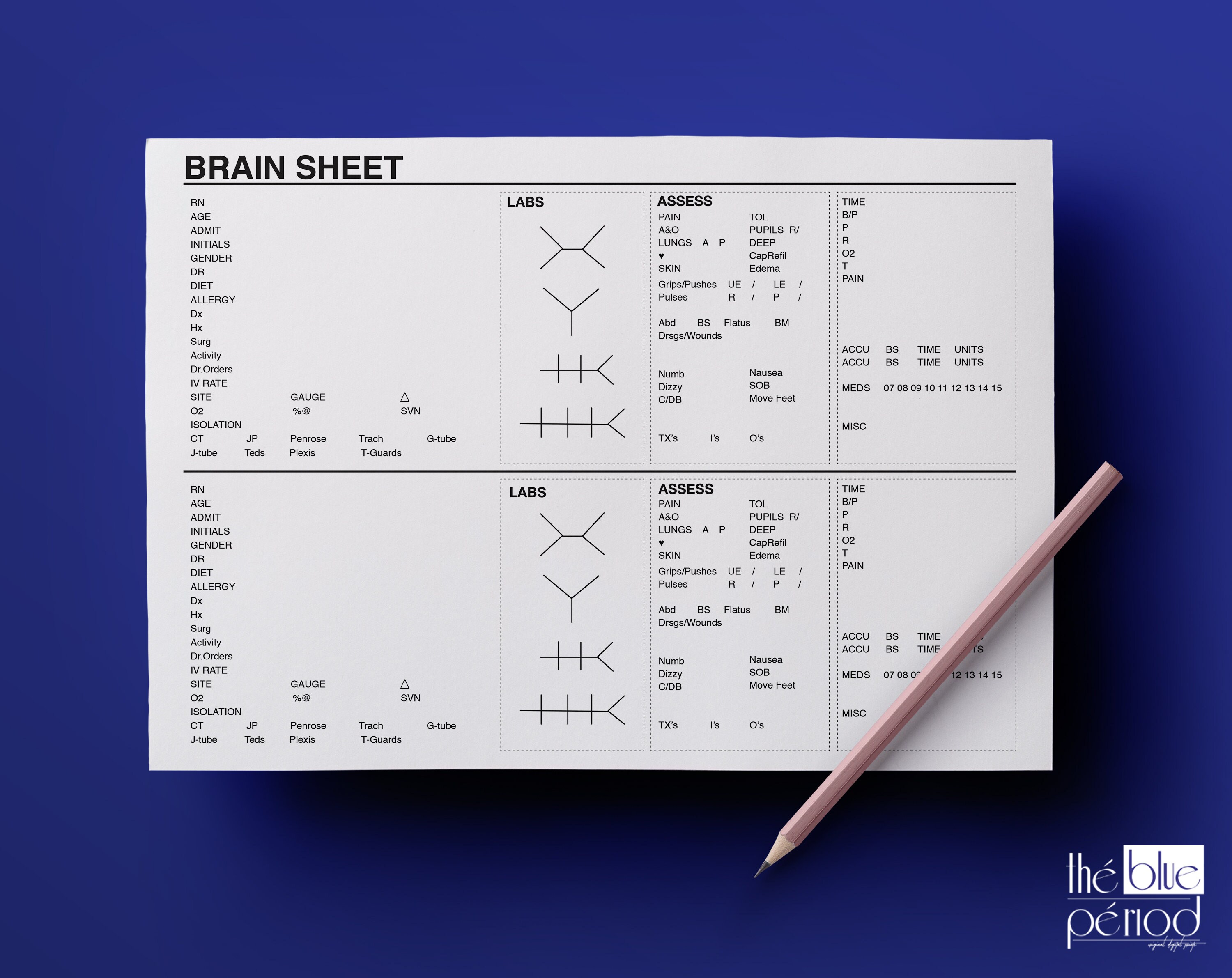 Printable Brain Nursing Report Sheet - Etsy