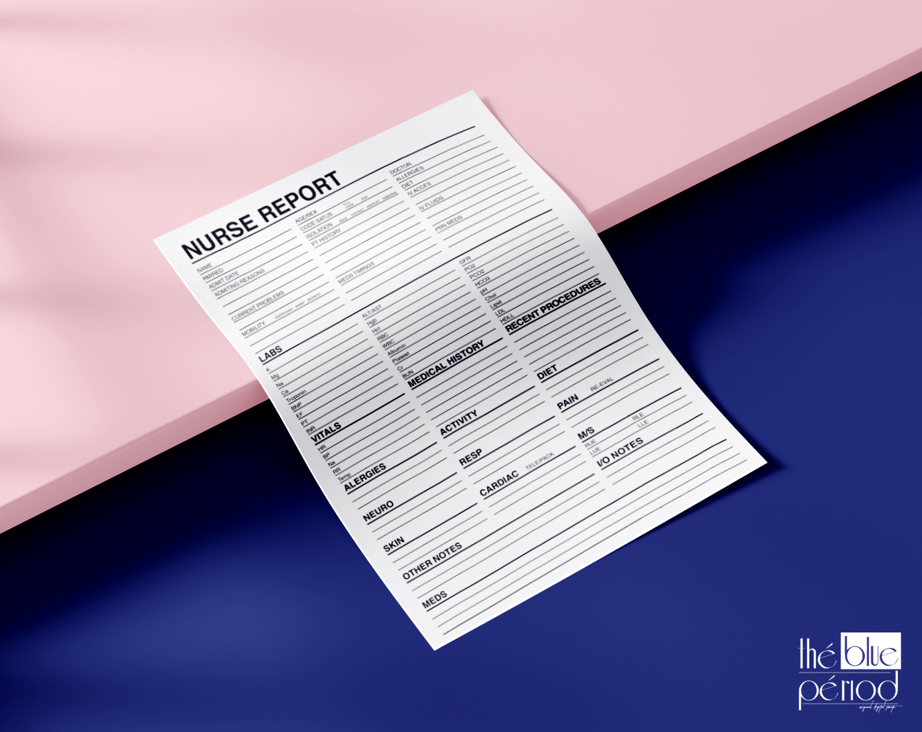 One Patient Full Nurse Report Sheet Template - Etsy