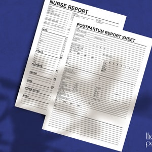 Printable Postpartum Report Sheet - Etsy