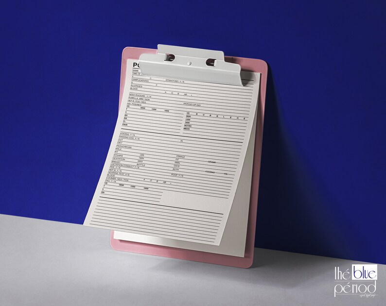 Printable Postpartum Report Sheet - Etsy