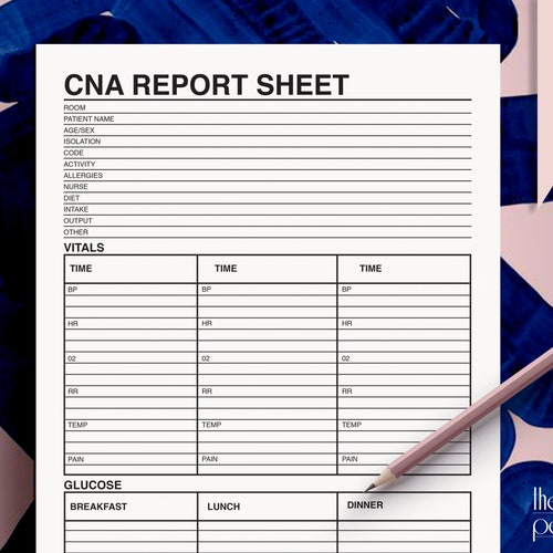 CNA Care Report Sheet - Etsy