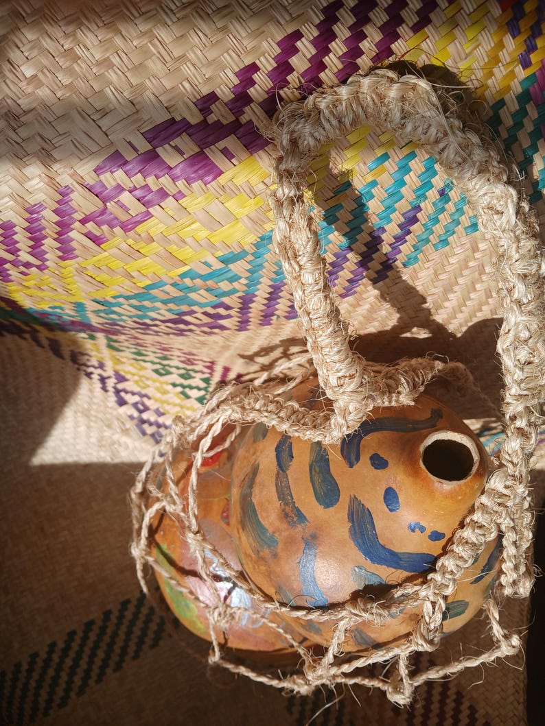 Cabaça Gourd Bottle (lagenaria Siceraria) Guaje Bule Xicara Random ...