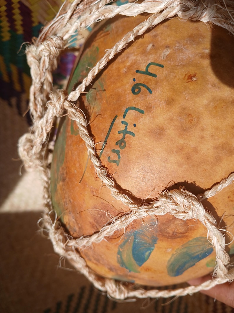 Cabaça Gourd Bottle (lagenaria Siceraria) Guaje Bule Xicara Random ...