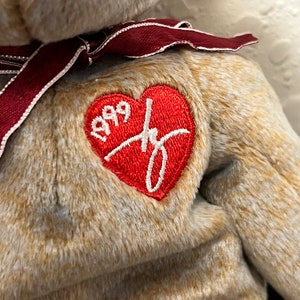 1999 Ty Beanie Babies Signature Bear - Etsy