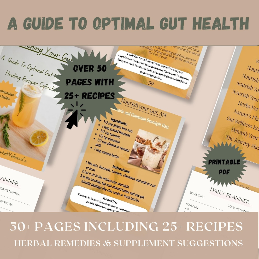 Holistic Guide for Gut Health| Gut Healing Recipes | Digital Gut Health ...