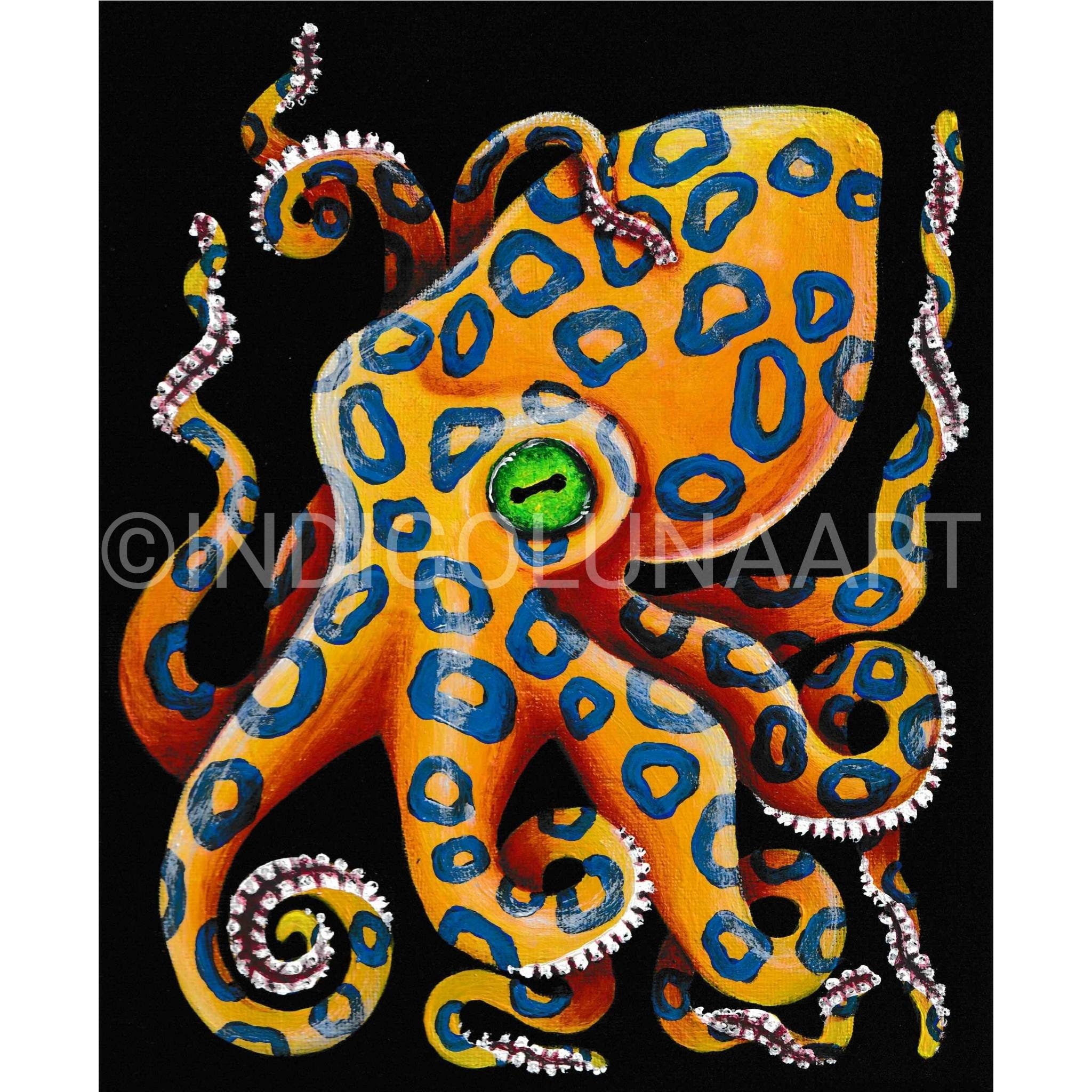 Blue Ringed Octopus Drawing