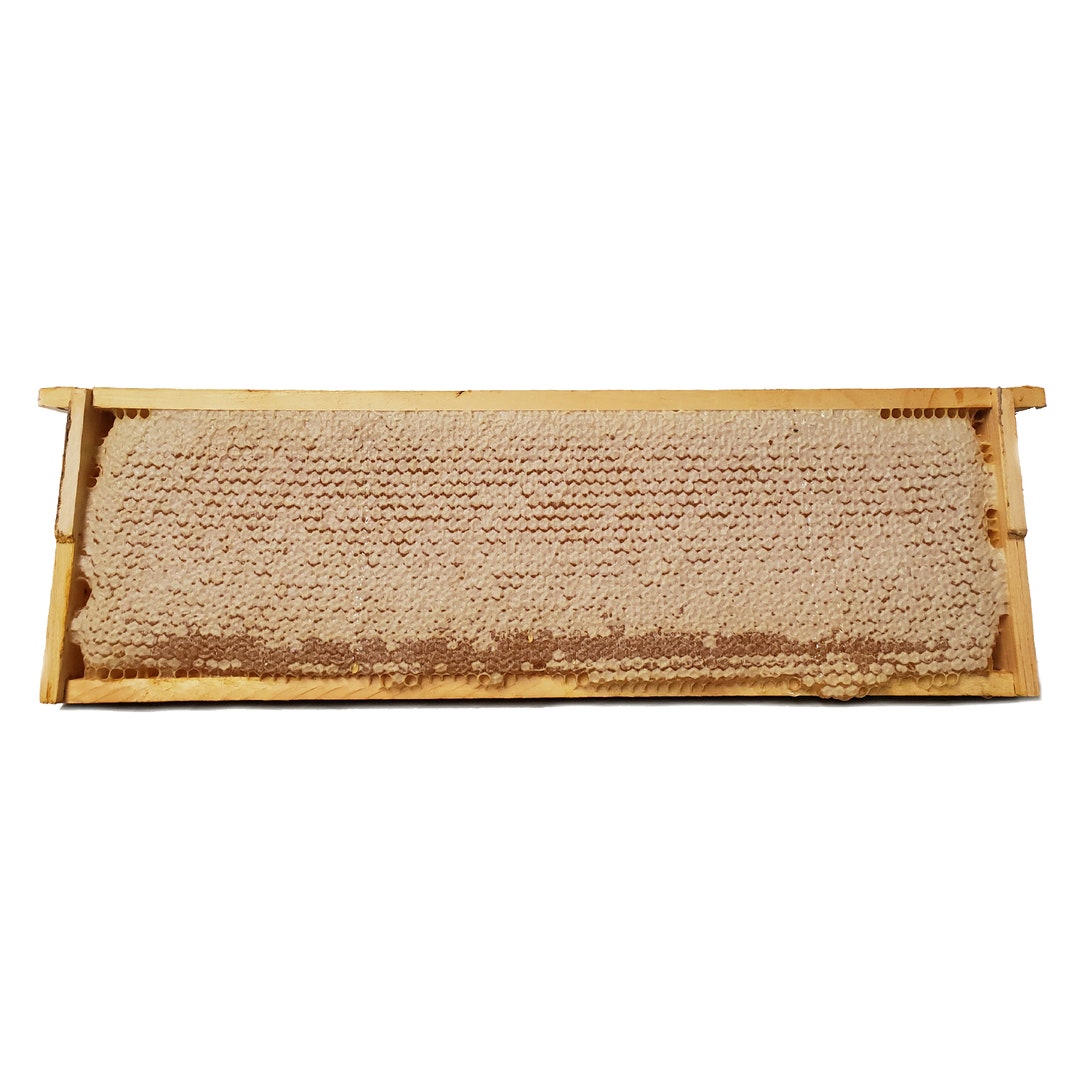 Pure Southern Honey Whole Wooden Honeycomb Frame - Etsy