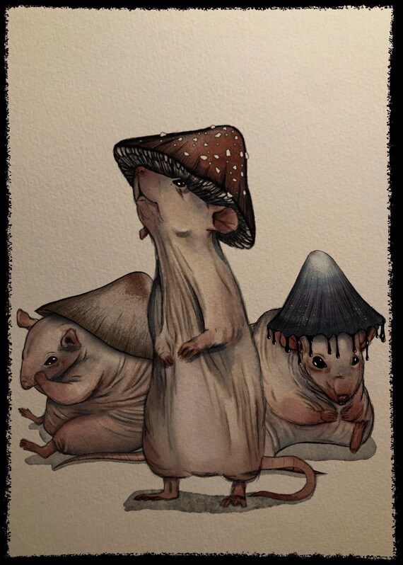 Mushroom Rats 5x7 Print - Etsy
