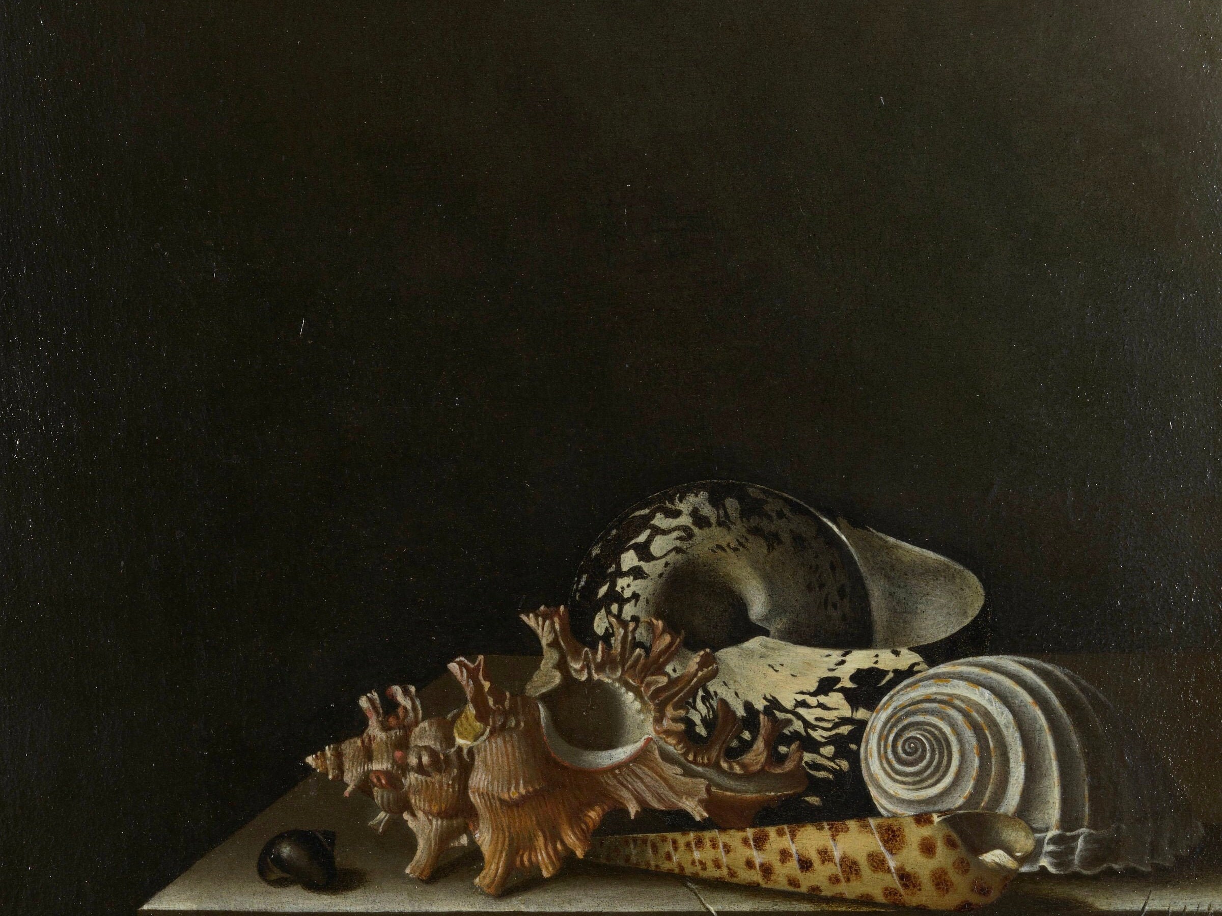 Printable Art | Vintage Shells Moody Still Life Painting | Coastal ...