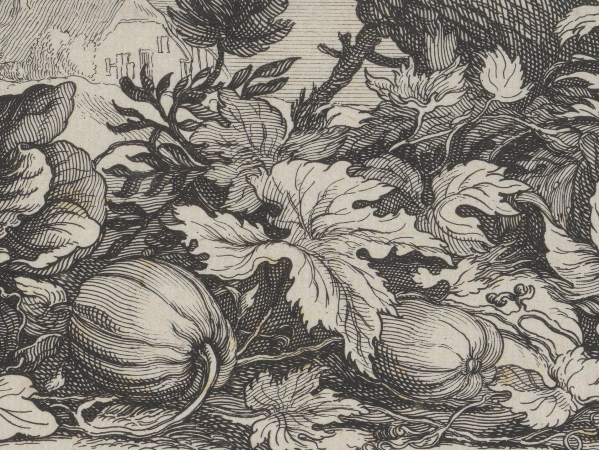 Printable Art | Vintage Fall Pumpkin Etching | Muted Colors | Farmhouse ...