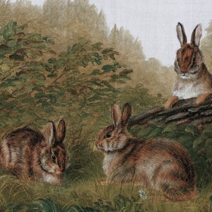 Printable Art | Vintage Bunny Rabbit Landscape Drawing | Easter Spring ...
