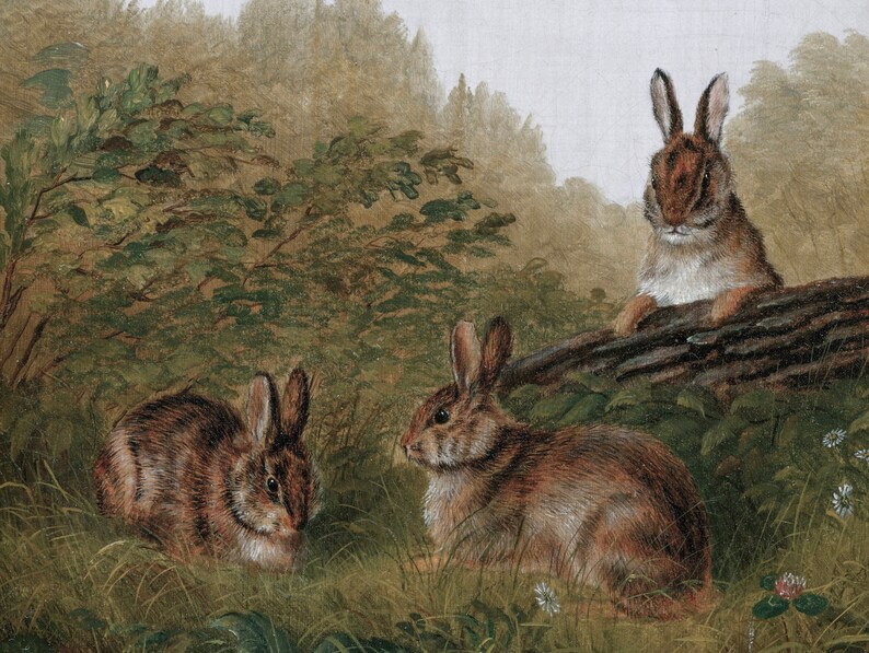 Printable Art Vintage Bunny Rabbit Landscape Drawing - Etsy
