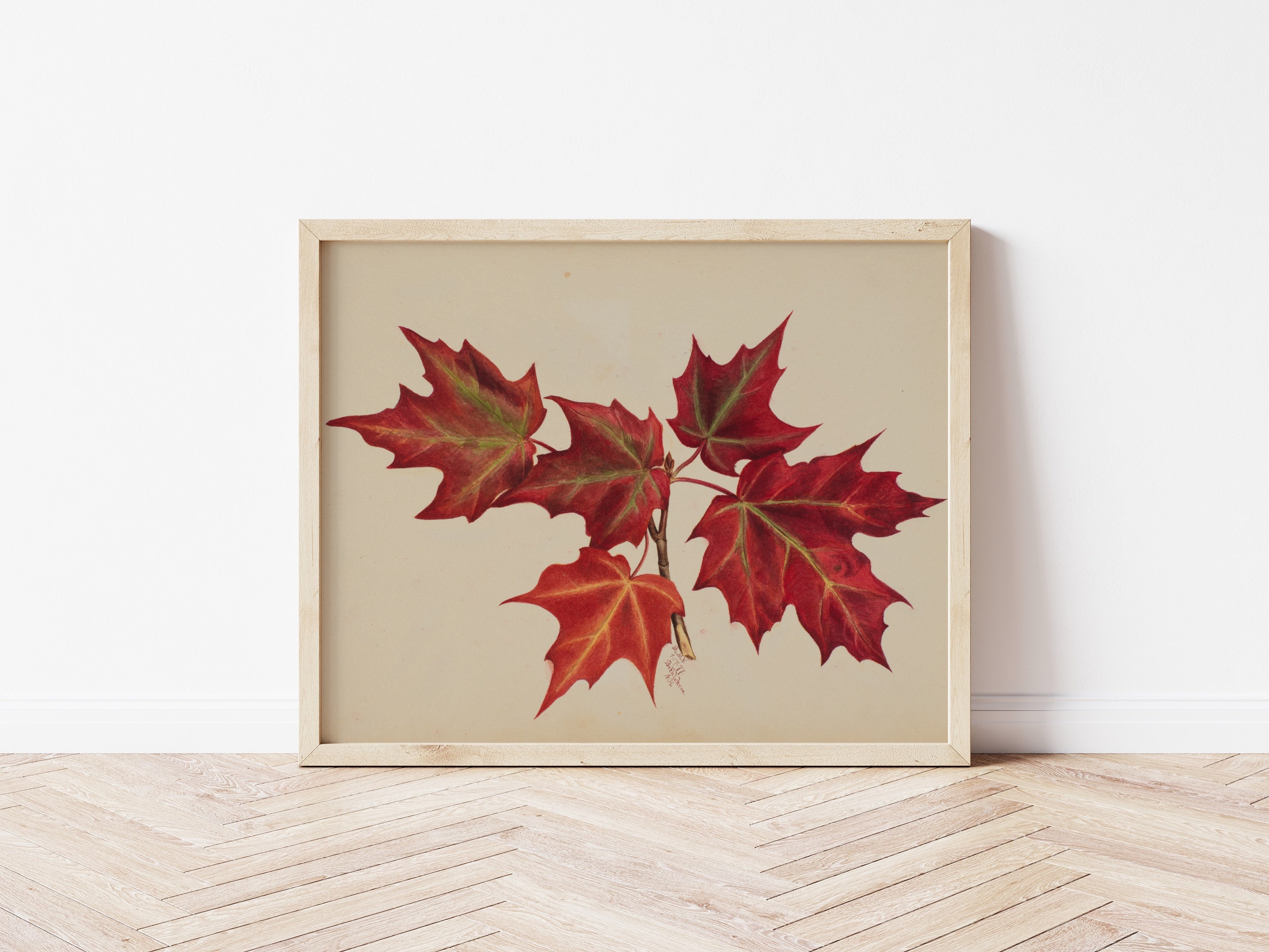 Printable Art Vintage Fall Leaves Botanical Painting | Etsy