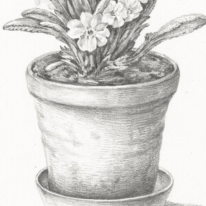 Printable Art | Vintage Flower Pot Sketch Art Print | Black & White ...