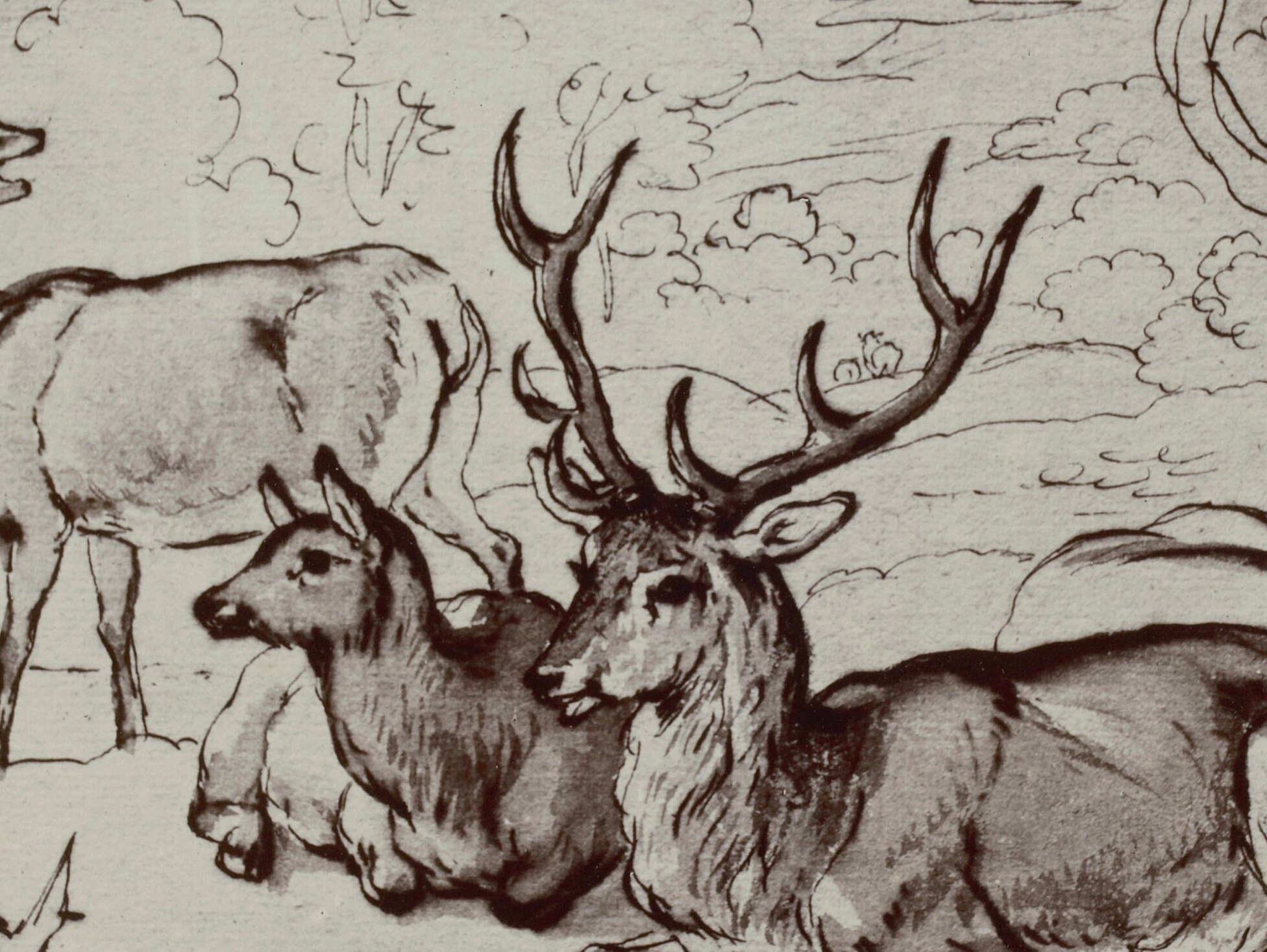 Printable Art Vintage Deer Sketch Drawing Fall Deer Art - Etsy