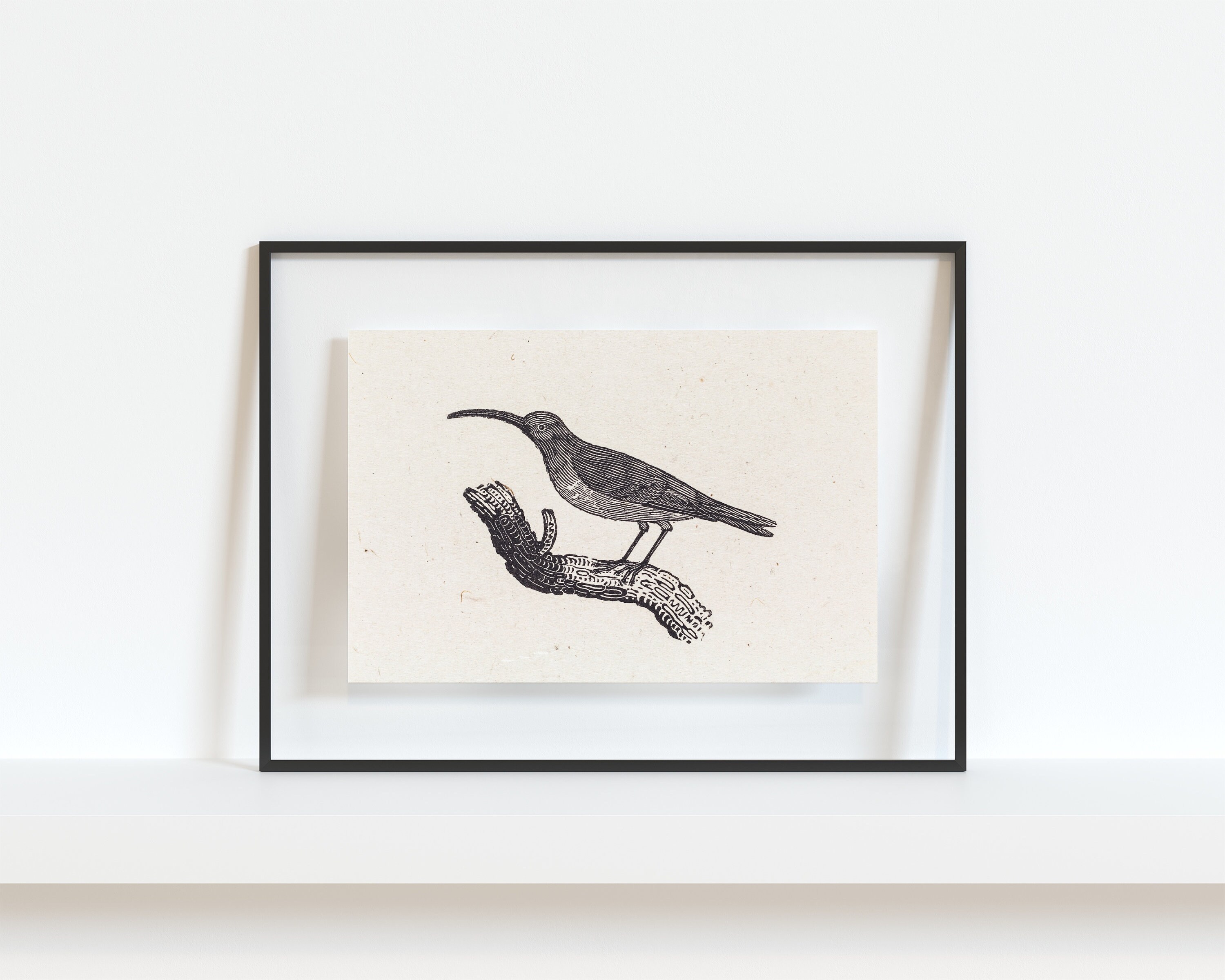 Printable Art | Vintage Bird Etching | Black & White | Farmhouse ...