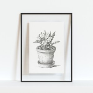 Printable Art | Vintage Flower Pot Sketch Art Print | Black & White ...