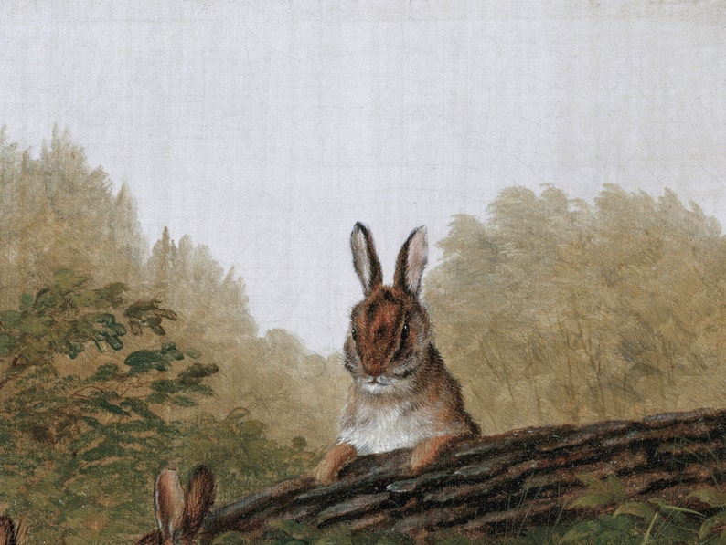 Printable Art Vintage Bunny Rabbit Landscape Drawing - Etsy