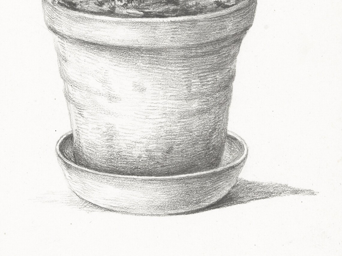 Printable Art | Vintage Flower Pot Sketch Art Print | Black & White ...