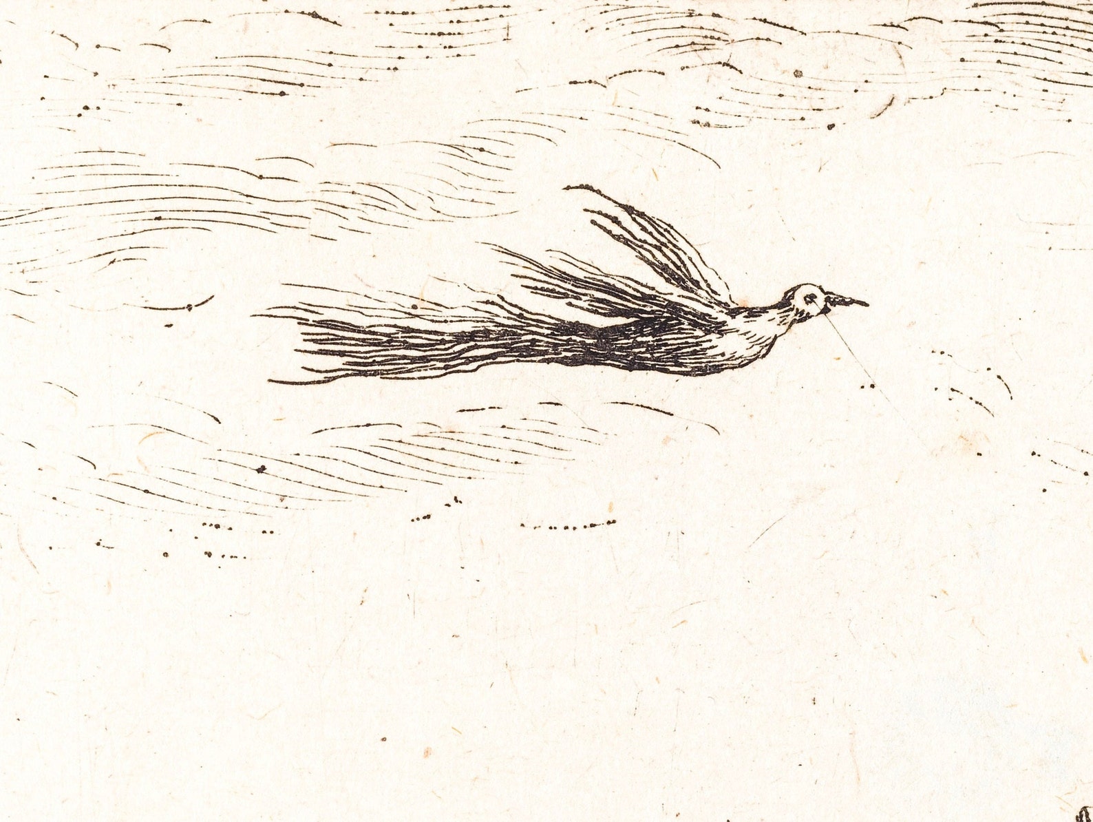 Printable Art Vintage Bird Etching Black & White Bird of - Etsy