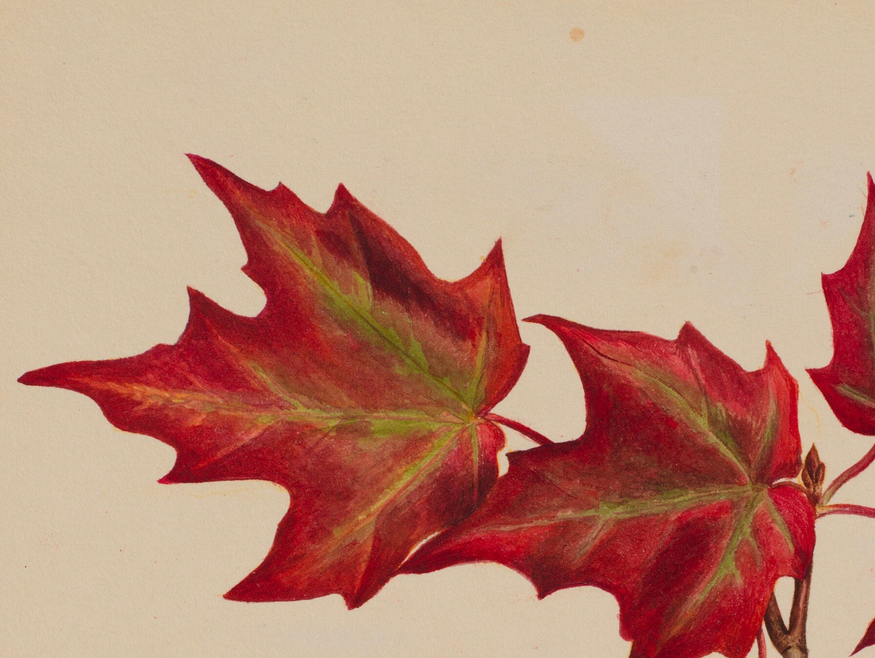 Printable Art Vintage Fall Leaves Botanical Painting | Etsy