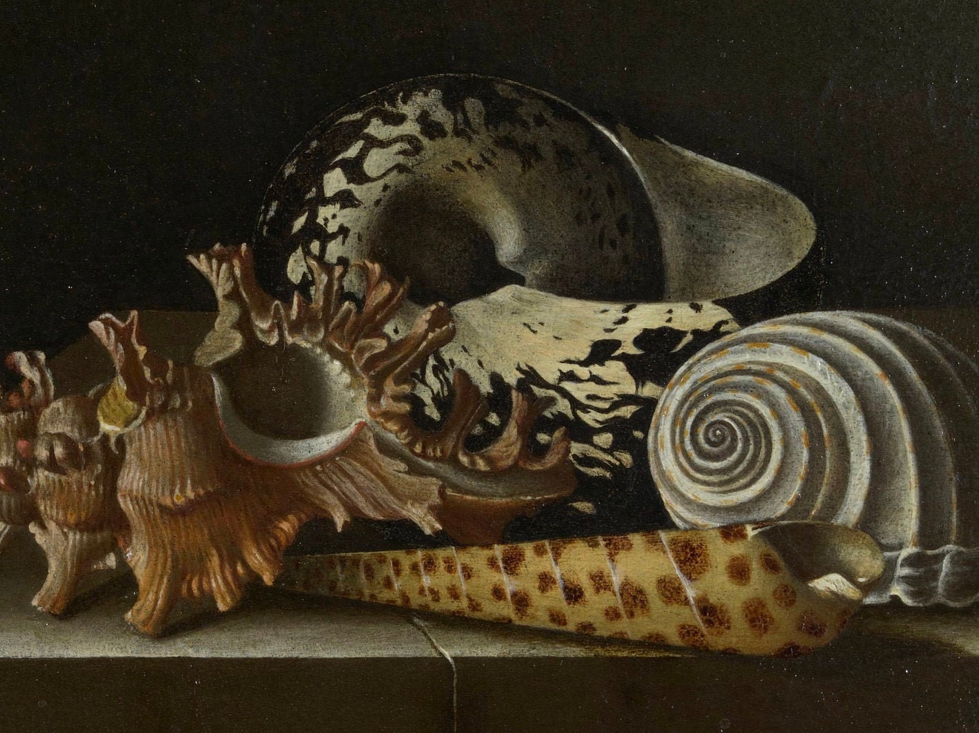 Printable Art | Vintage Shells Moody Still Life Painting | Coastal ...