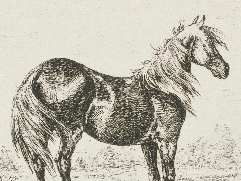 Arte imprimible / vintage caballo boceto dibujo / arte de la - Etsy México