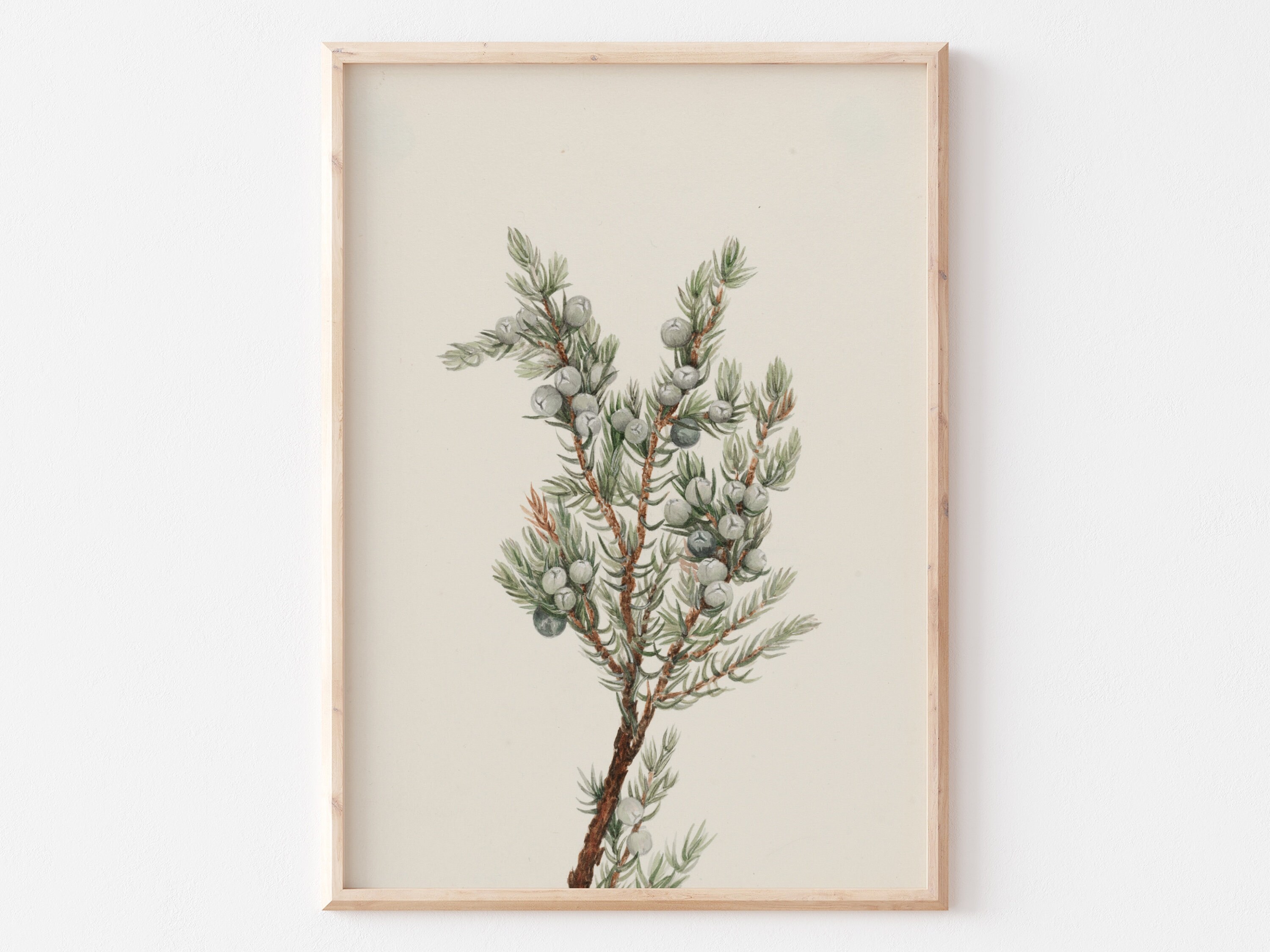 Printable Art | Vintage Juniper Botanical Print | Blues & Greens ...