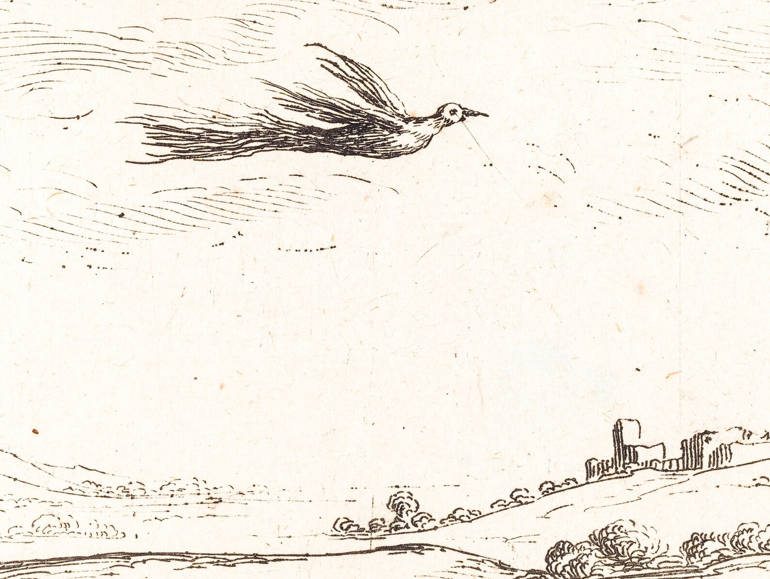 Printable Art Vintage Bird Etching Black & White Bird of - Etsy