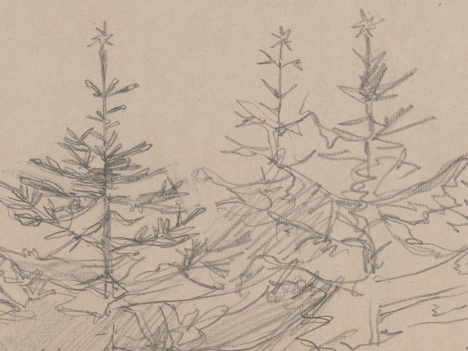 Printable Art Vintage Pine Tree Sketch Printable Neutral - Etsy