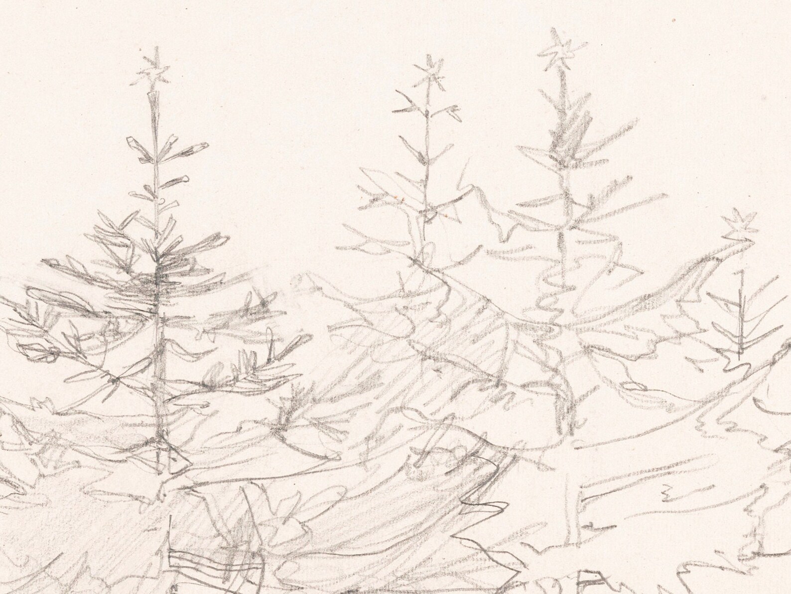 Printable Art Vintage Pine Tree Sketch Printable Neutral - Etsy