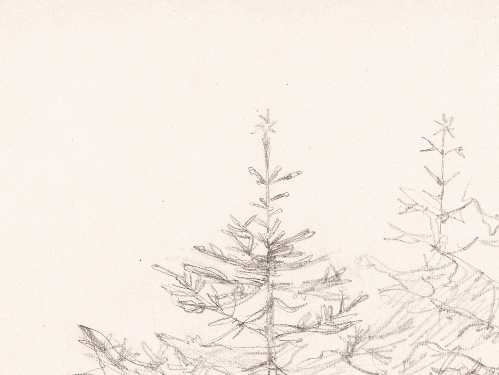 Printable Art Vintage Pine Tree Sketch Printable Neutral - Etsy