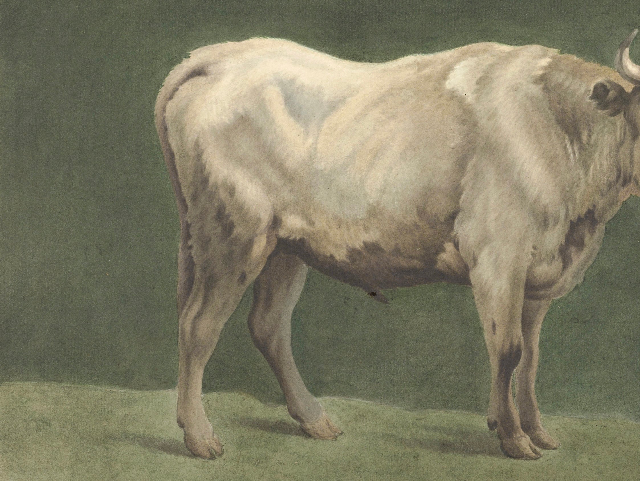 Printable Art | Vintage Cow Oil Painting | Rustic Decor | Antique ...