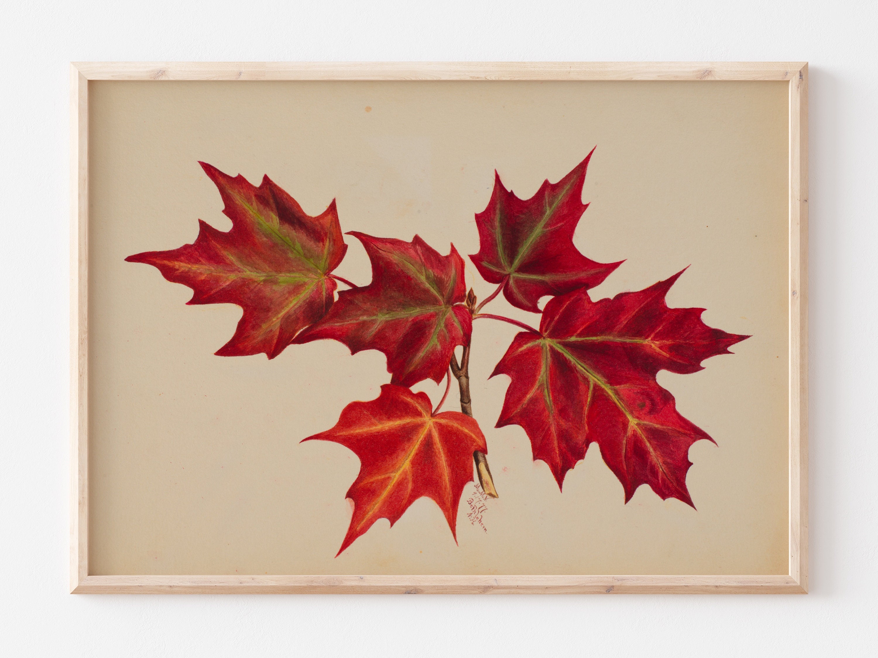 Printable Art Vintage Fall Leaves Botanical Painting | Etsy