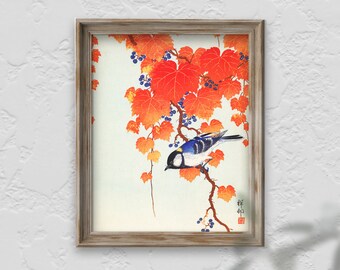 Tosa Washi Paper - Etsy