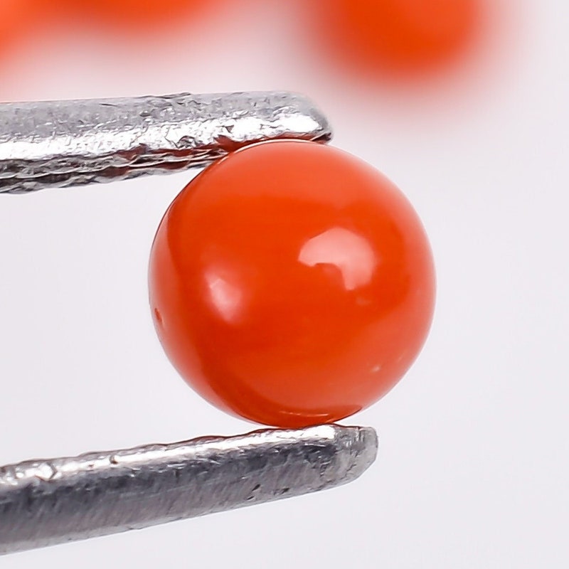 Natural Red Coral - Etsy