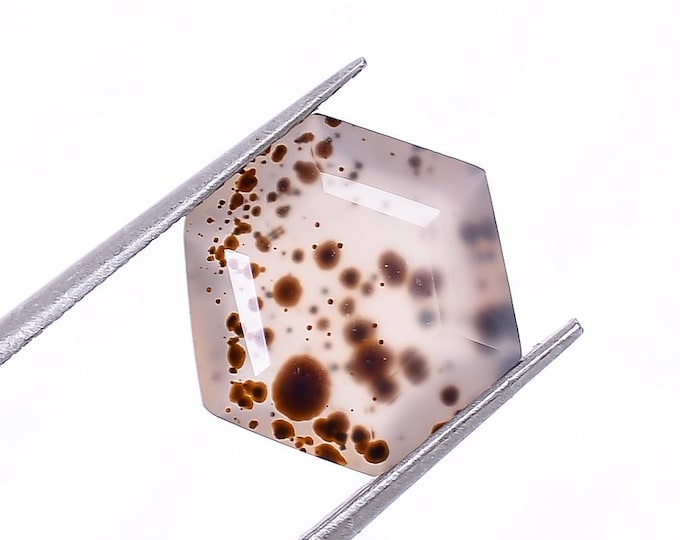 Montana Agate Hexagon Shape Step Cut, Montana Agate Loose Gemstone for ...