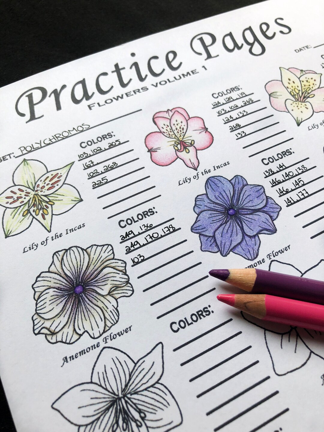 10 Coloring Practice Pages + Bonus Coloring Page! - FLOWERS V1 - Etsy