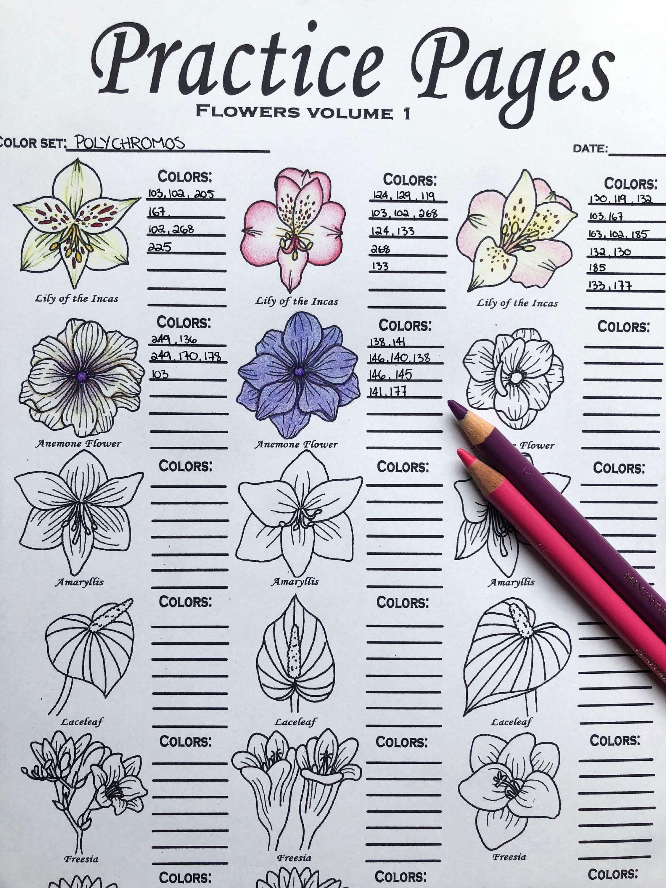10 Coloring Practice Pages Bonus Coloring Page FLOWERS V1 - Etsy