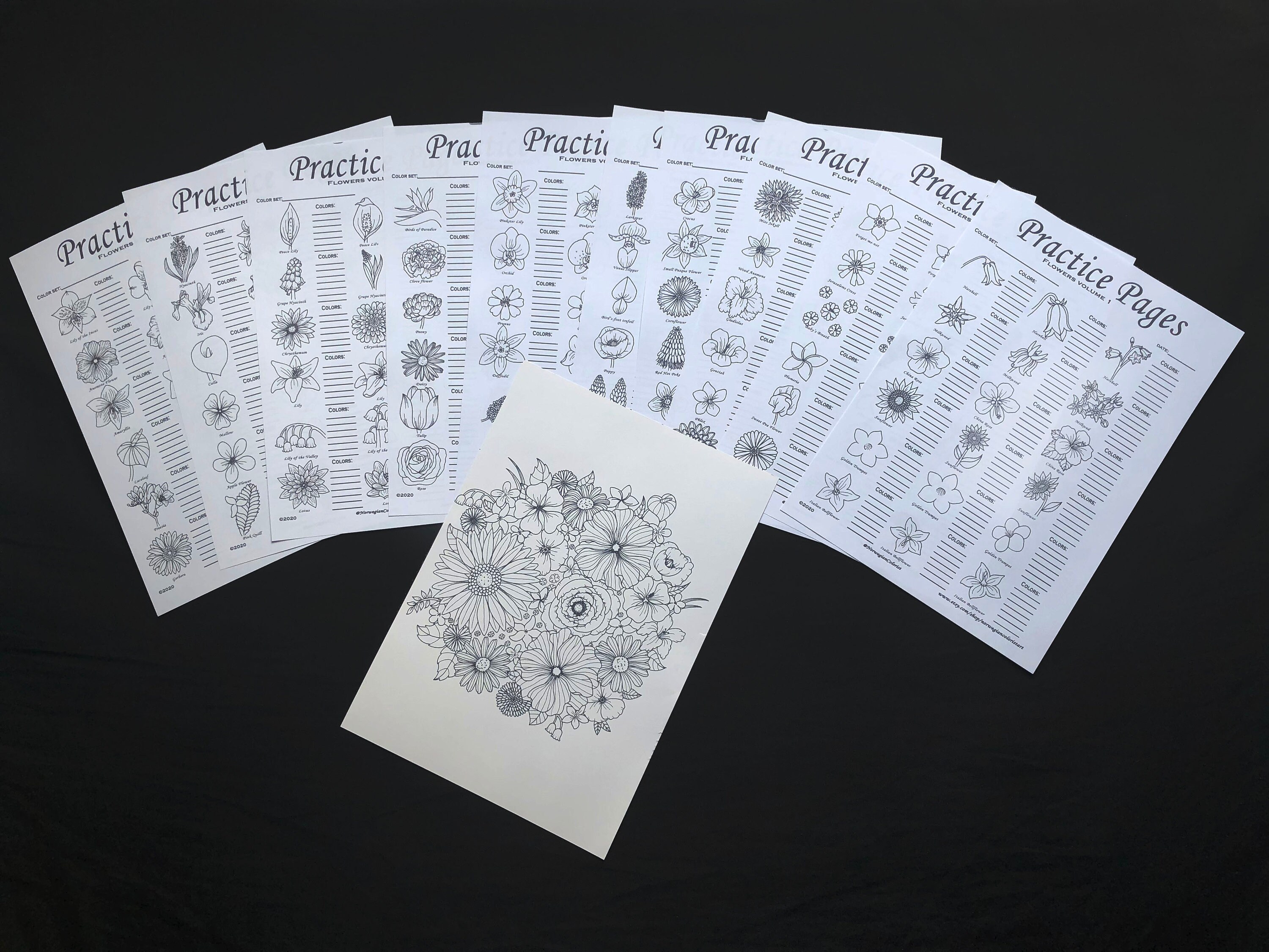 10 Coloring Practice Pages Bonus Coloring Page FLOWERS V1 - Etsy
