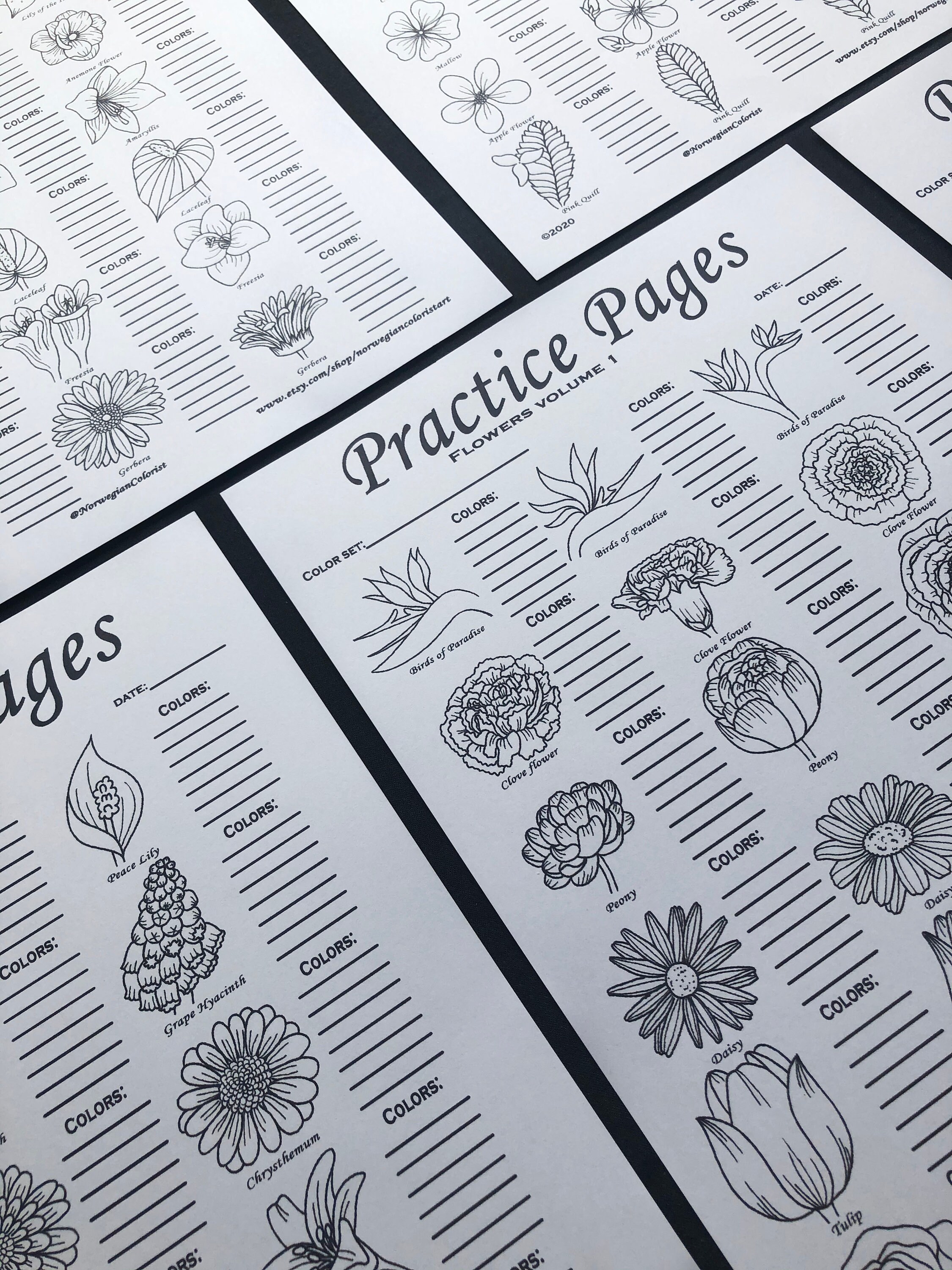 10 Coloring Practice Pages Bonus Coloring Page FLOWERS V1 - Etsy