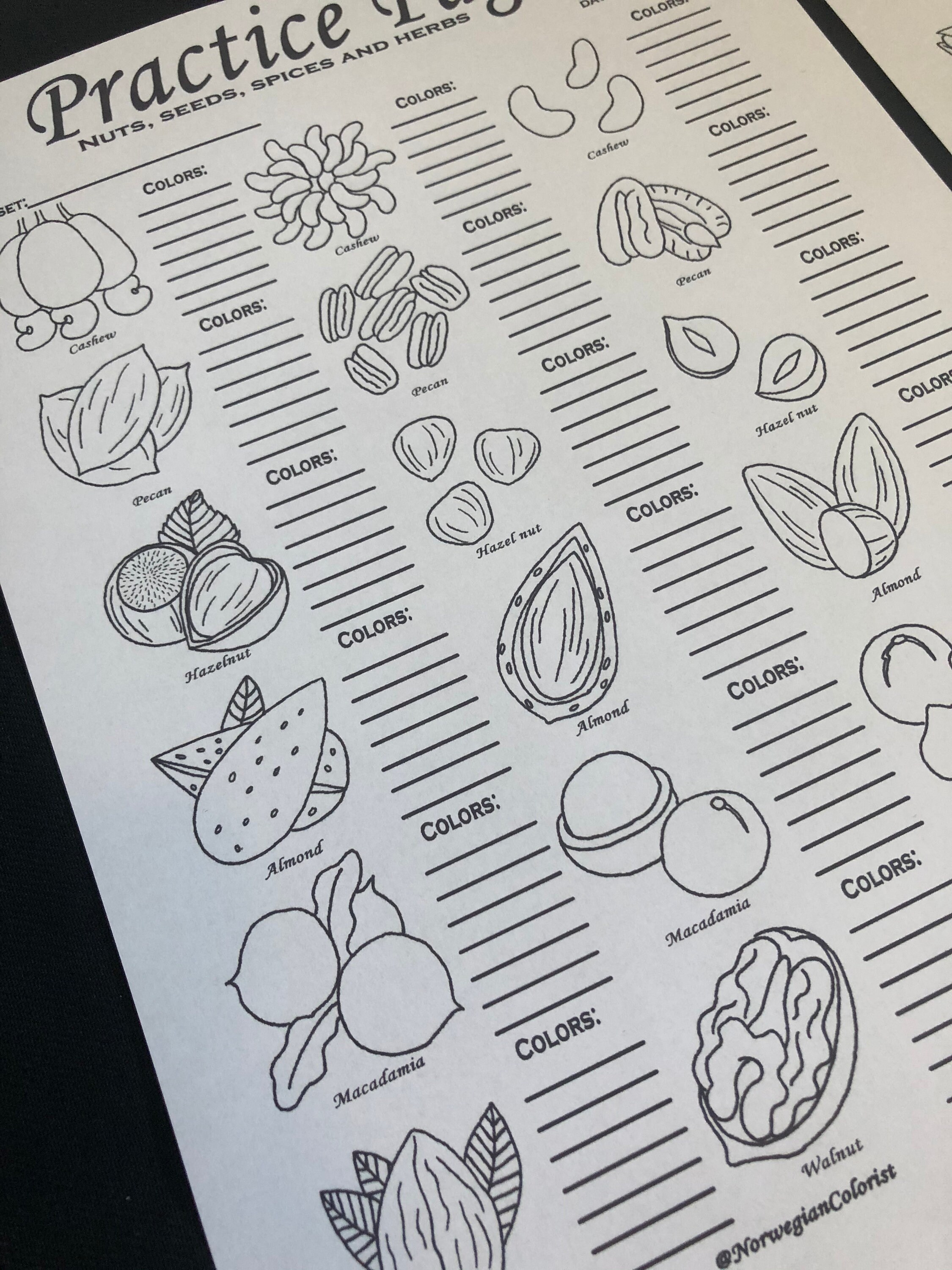 5 Coloring Practice Pages Bonus Coloring Page - Etsy