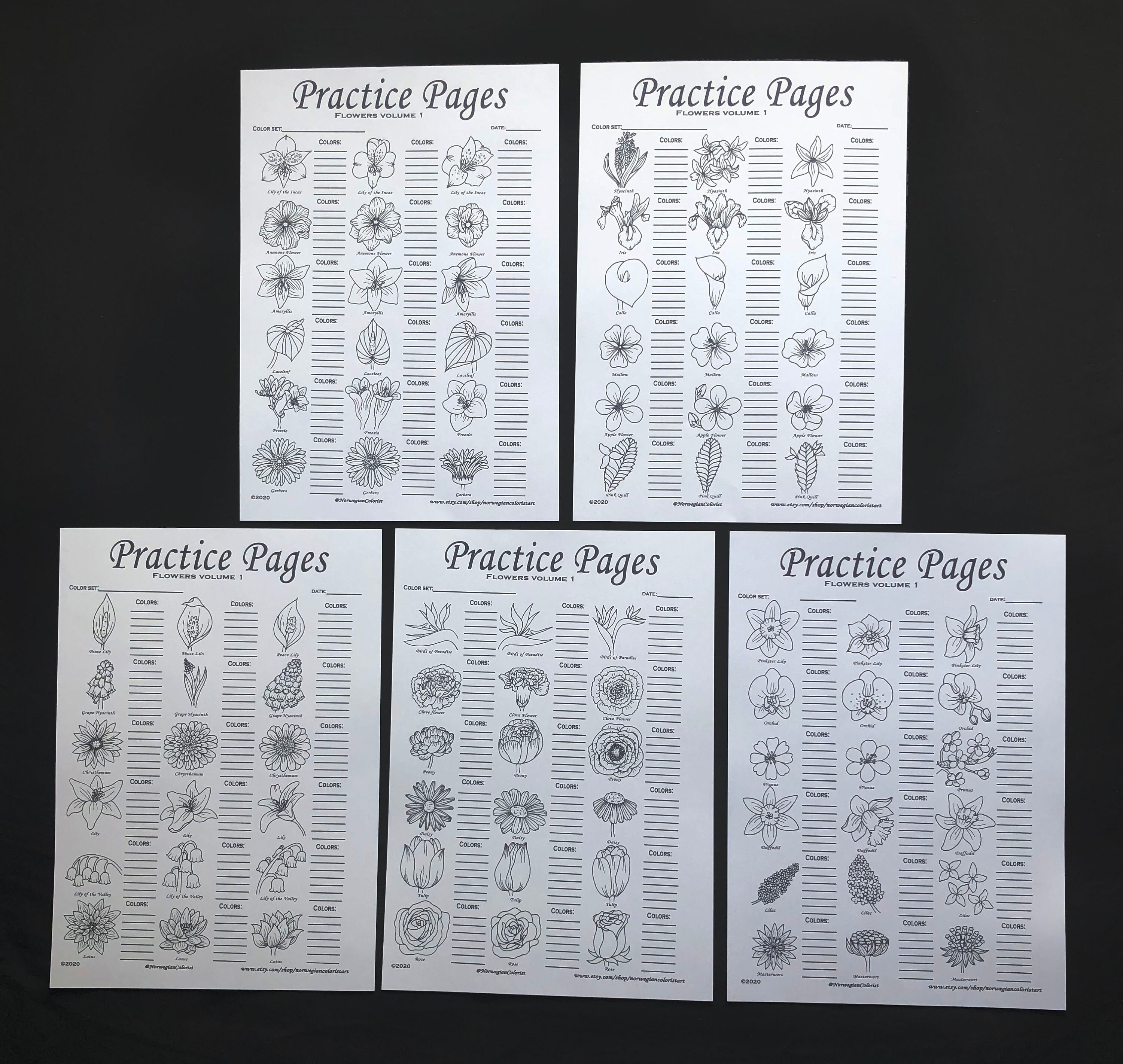 10 Coloring Practice Pages Bonus Coloring Page FLOWERS V1 - Etsy