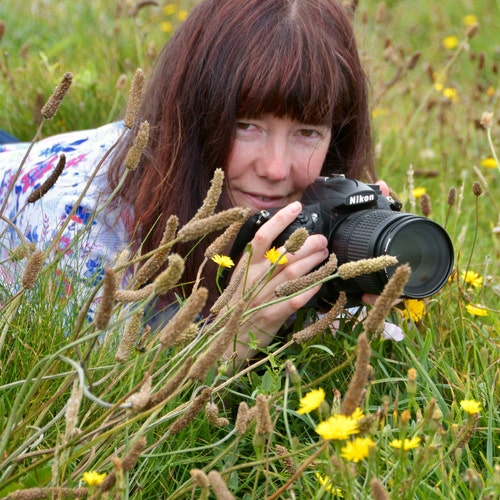 lisaproutphotography - Etsy