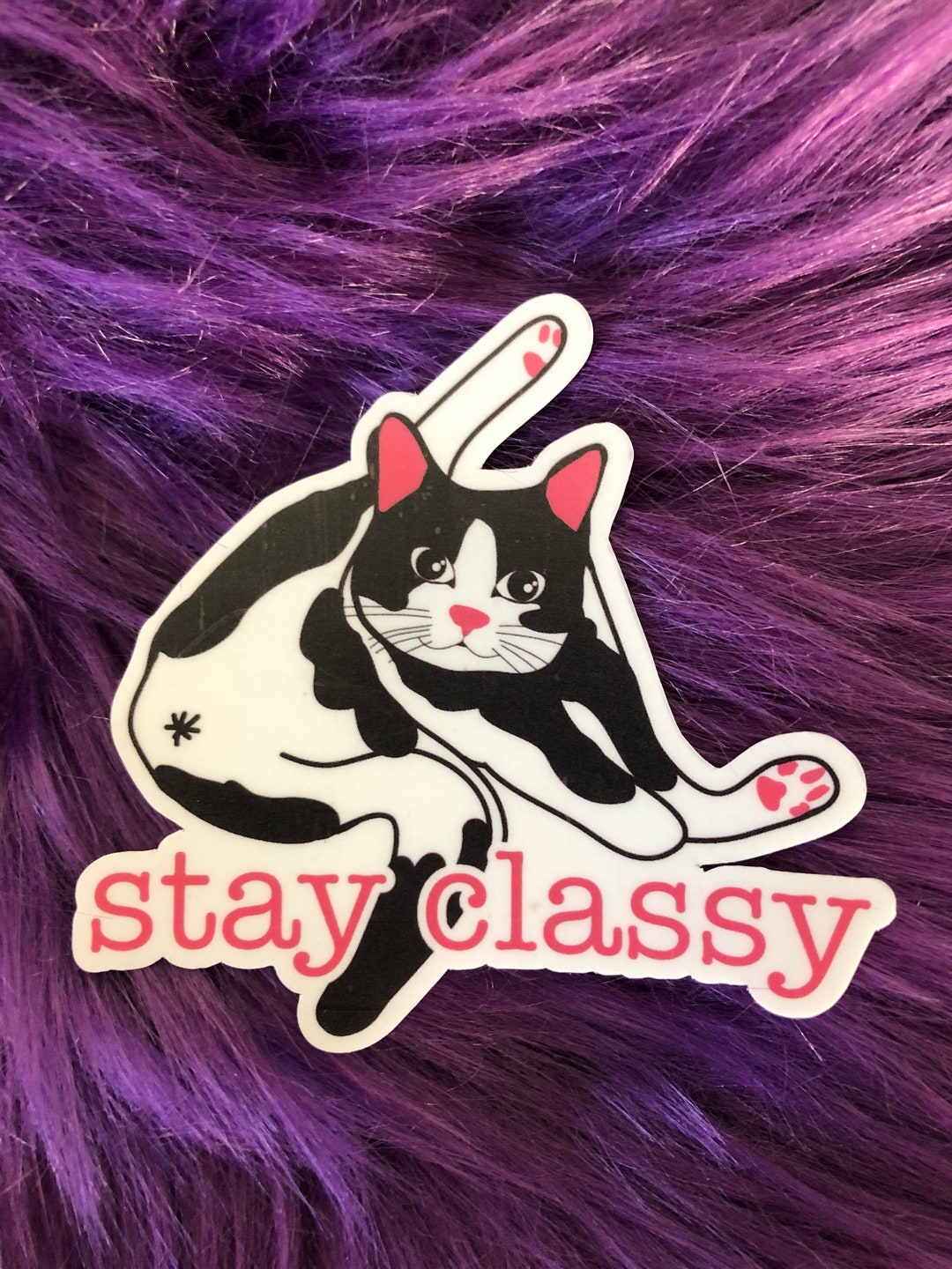 Cat Sticker Stay Classy Sticker Funny Cat Sticker Cat - Etsy